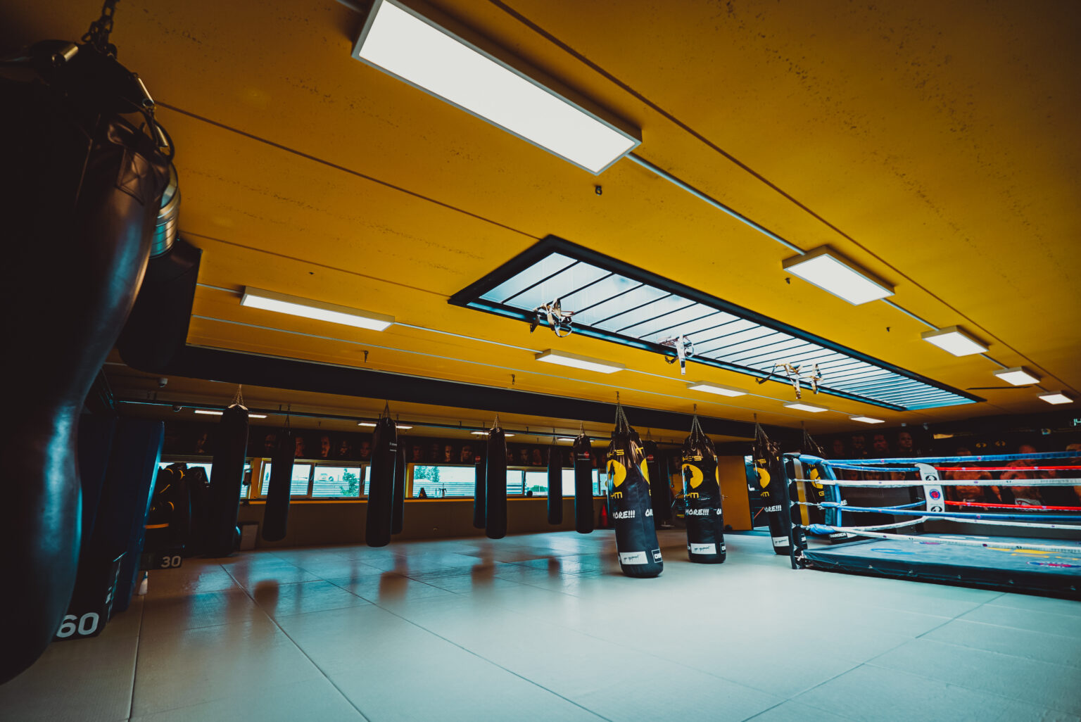 THE MIXED GYM - Mike's Gym